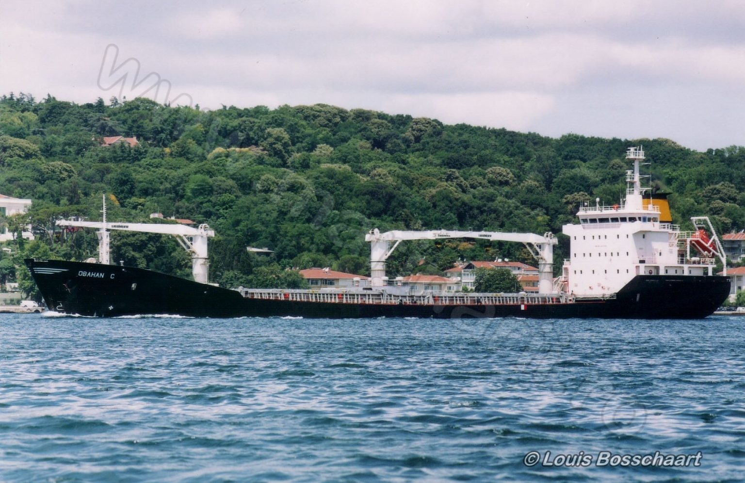 RUNCU | marinarii.ro