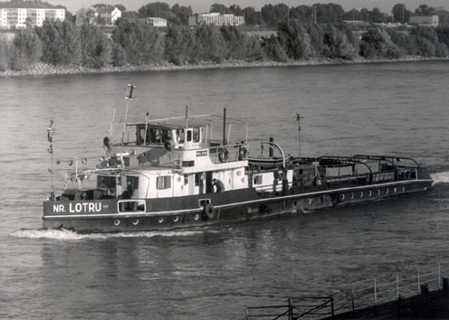 LOTRU | marinarii.ro