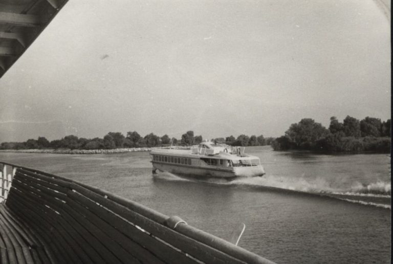 SAGEATA | marinarii.ro