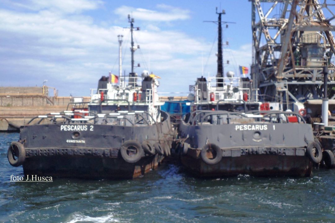 PESCARUS 1 | marinarii.ro