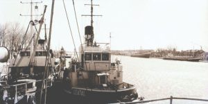 CEATAL | marinarii.ro